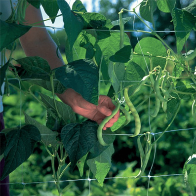 Quality Horticulture - American Nettings Trellis Netting 6.5' x 3,280 ...